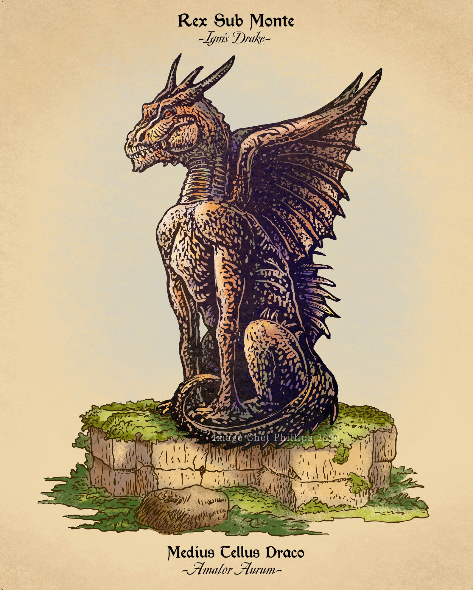 Smaug Study Unnatural History Series 8 X 10 Print - Etsy