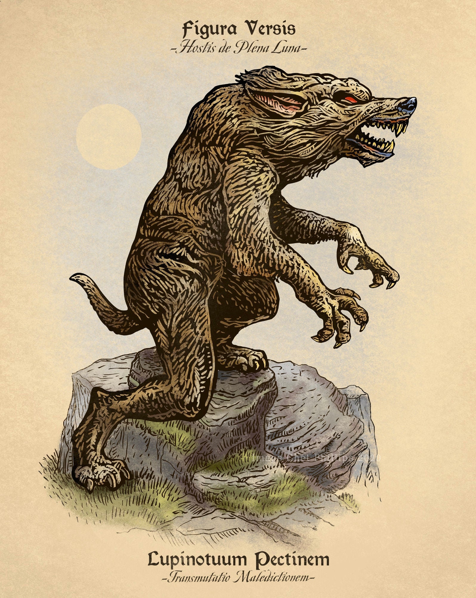 Ancient Werewolf Drawings