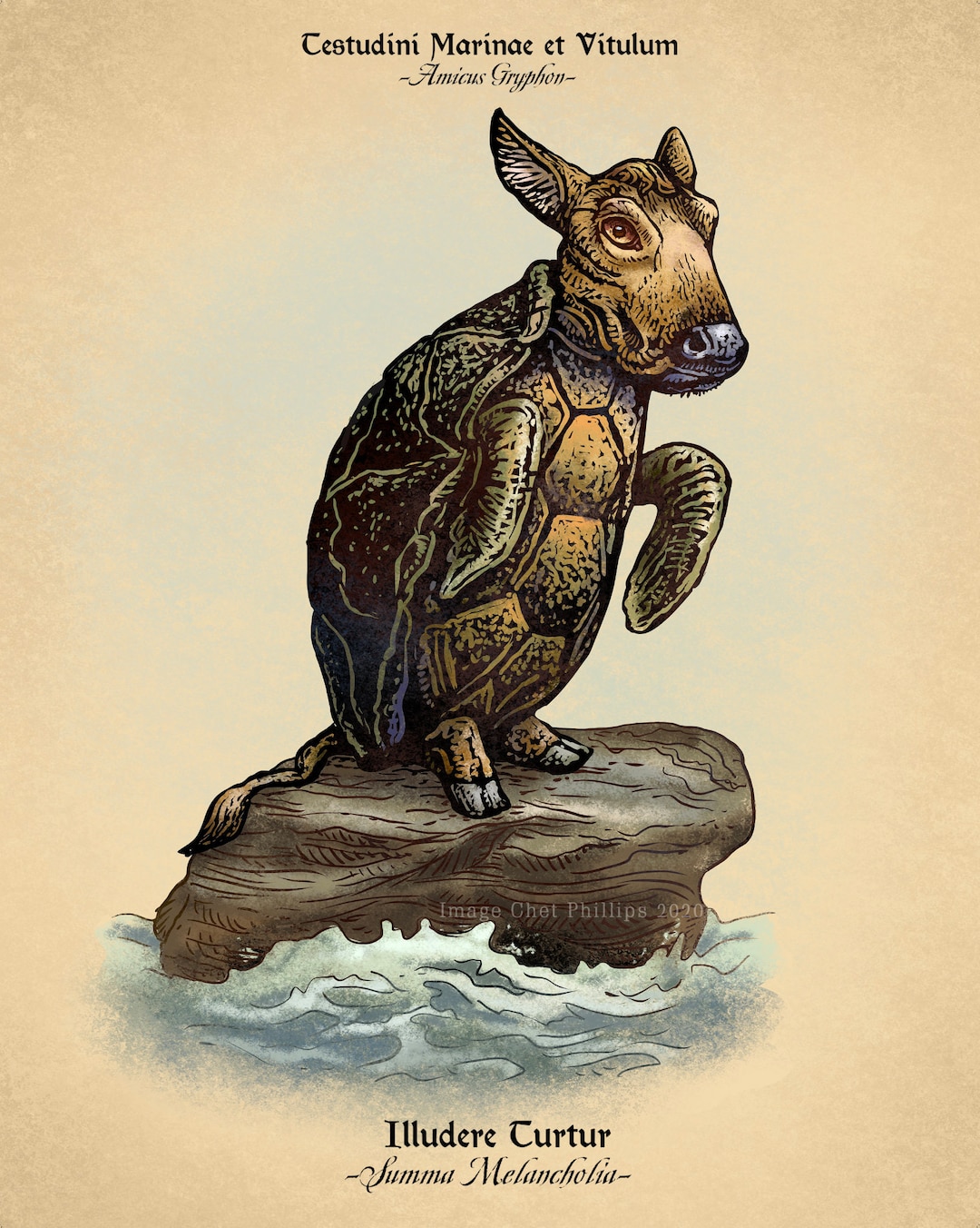 Mock Turtle Study- Unnatural History Series 8" X 10" Print - Etsy