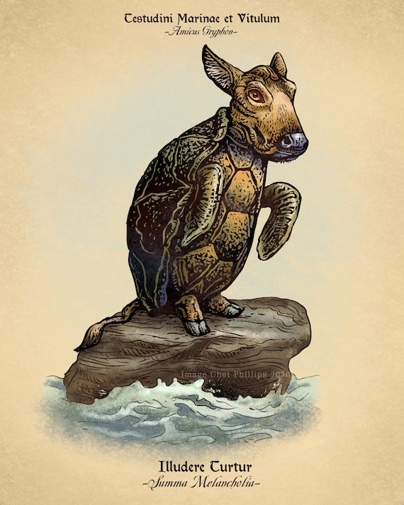 Mock Turtle Study Unnatural History Series 8 X 10 | Etsy