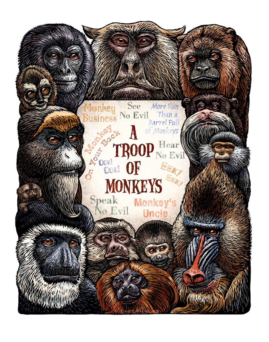 A Troop of Monkeys 11 X 14 Monkey Art Print - Etsy