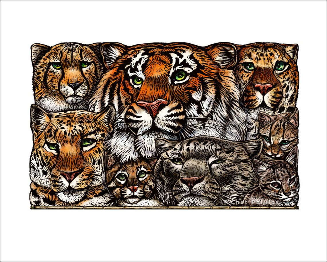Big Cats 8x 10 Signed Print - Etsy