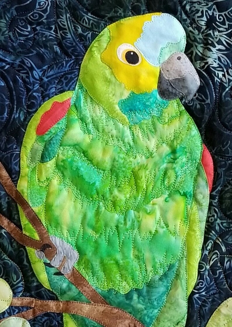 Amazon Parrot Fusible Applique Quilt Pattern birds of a - Etsy