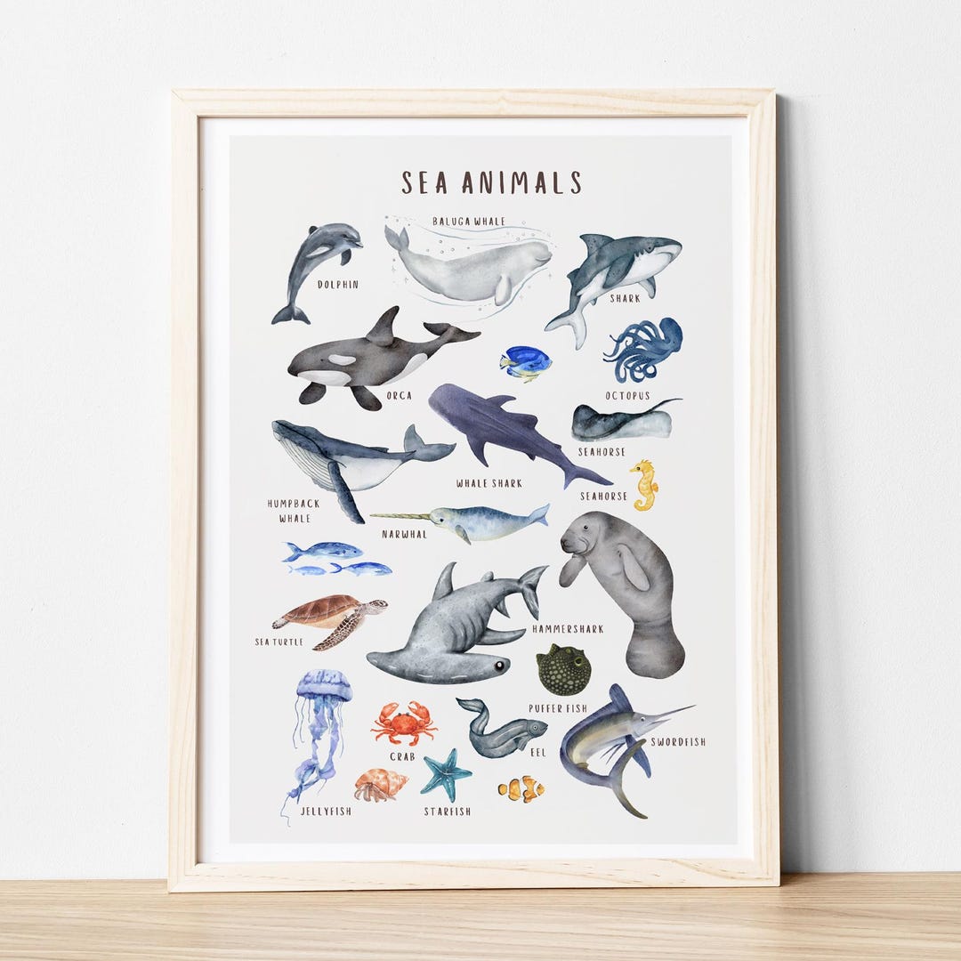 Sea Animals, Edu Kids Poster Boho, Ocean Animal, Montessori Materials ...