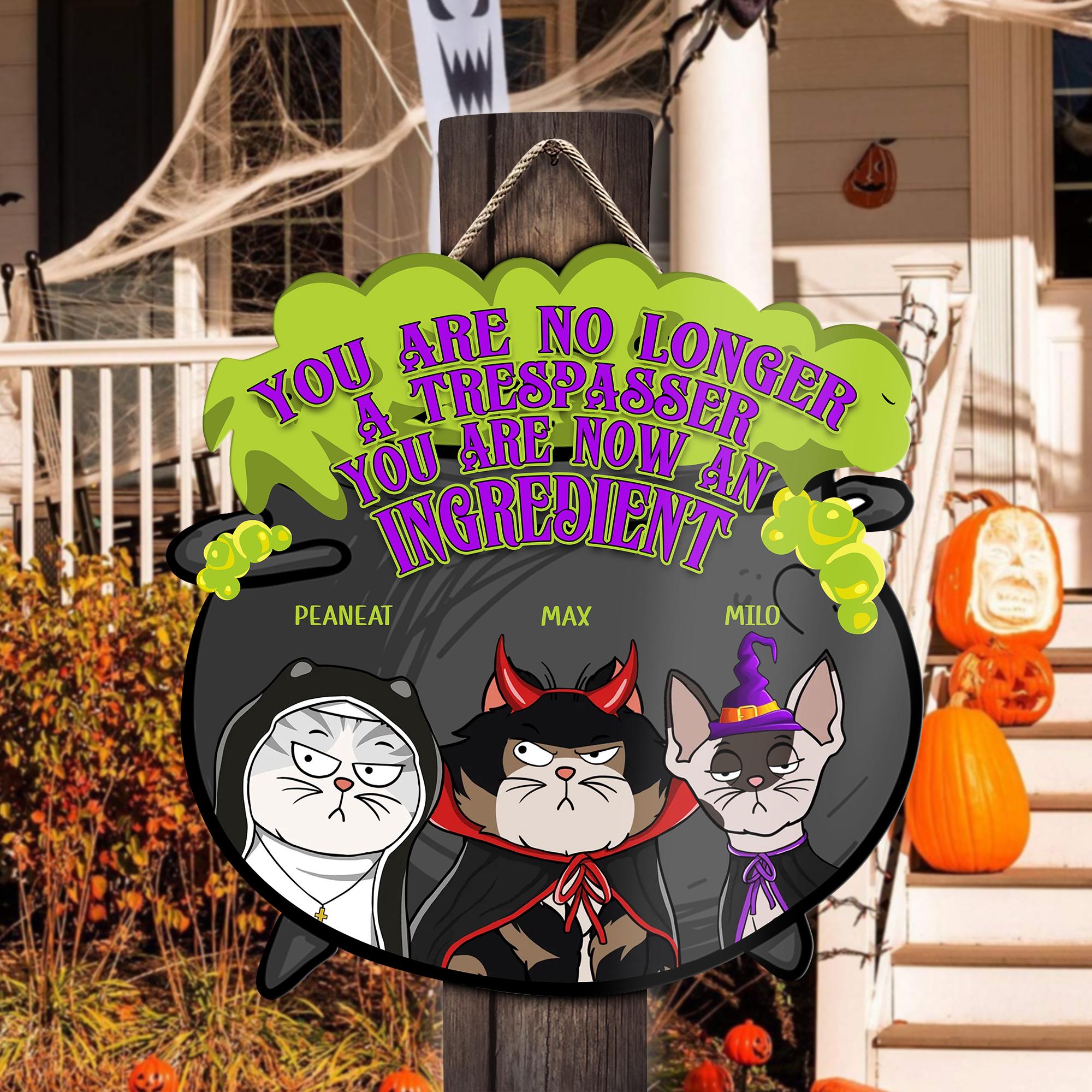Personalized Peeking Cats Door Sign, Custom Cats Door Hanger, Halloween ...