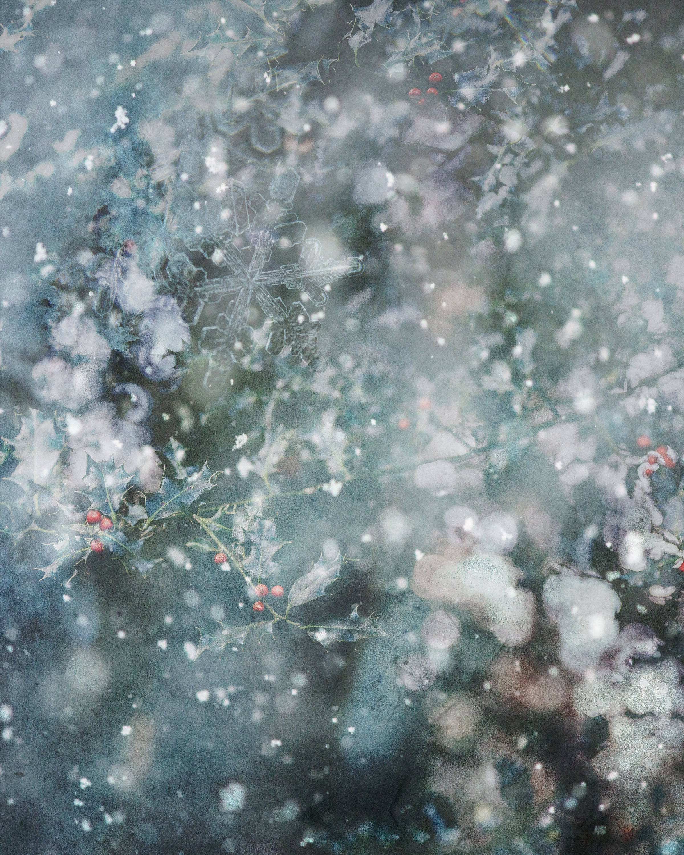 Holiday Flurry Collection TWO Winter Digital Backgrounds - Etsy UK