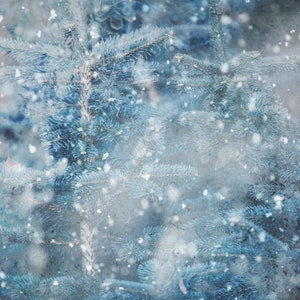 Winter Snow Flurries Digital Backgrounds: Holiday Collection (digital ...