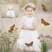 Realistic Butterfly Photoshop Overlays, the Mariposa Collection, High ...