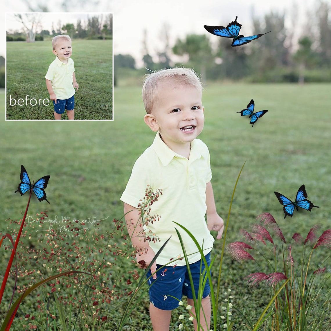 Realistic Butterfly Photoshop Overlays The Mariposa | Etsy