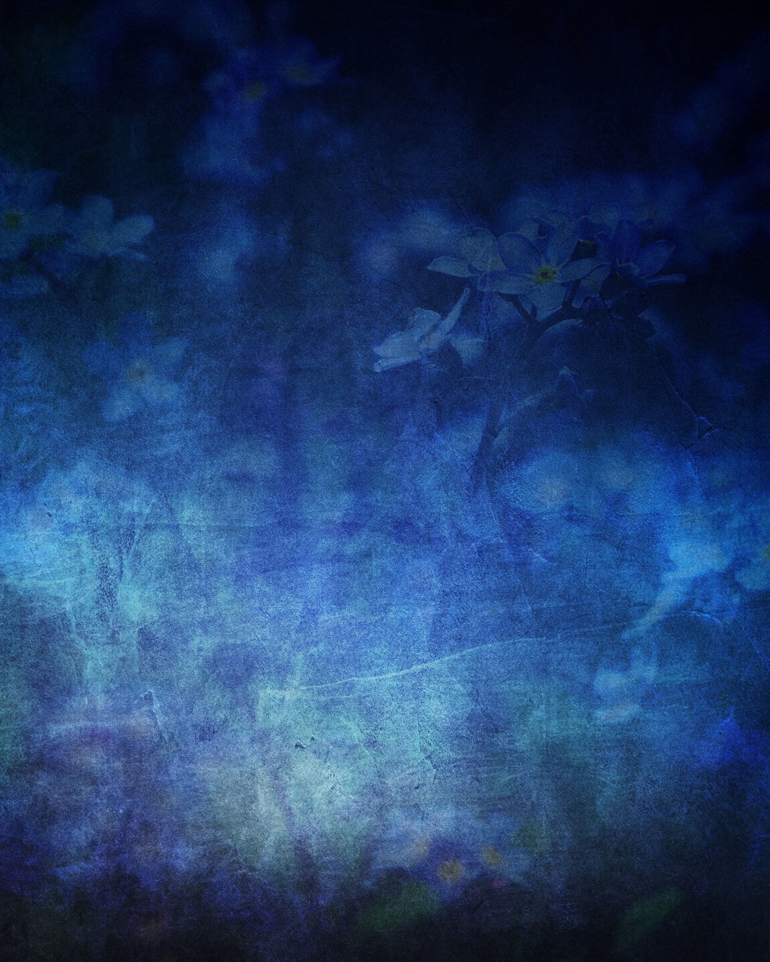 The Aromatic Collection Floral Digital Backgrounds A Mixture - Etsy