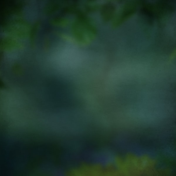 Greenery Backdrop - Etsy