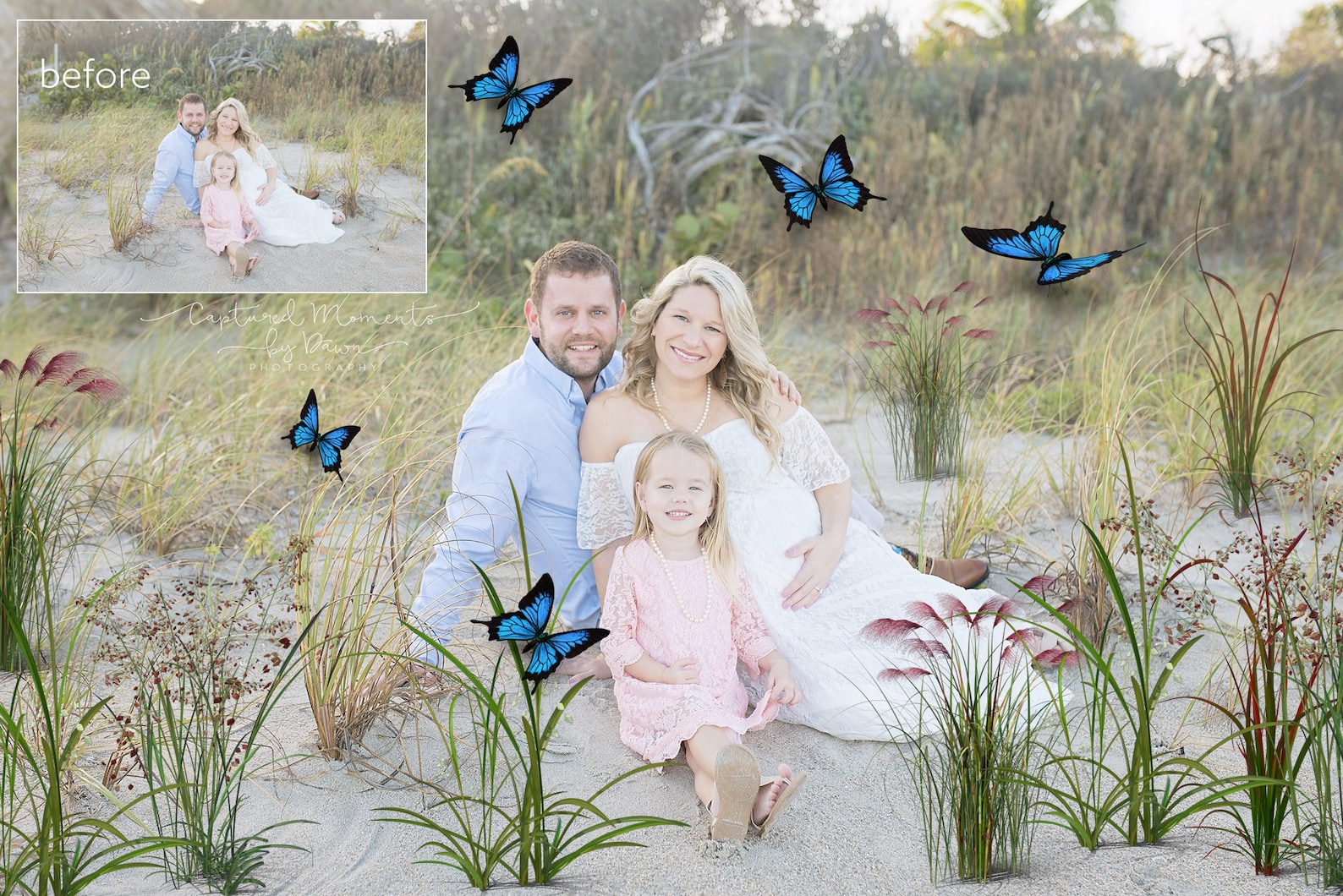 Realistic Butterfly Photoshop Overlays The Mariposa | Etsy