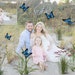 Realistic Butterfly Photoshop Overlays, the Mariposa Collection, High ...