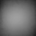 Shades of Gray Collection Photography Digital Backdrop A Complete ...