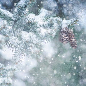 Winter Snow Flurries Digital Backgrounds: Holiday Collection (digital ...