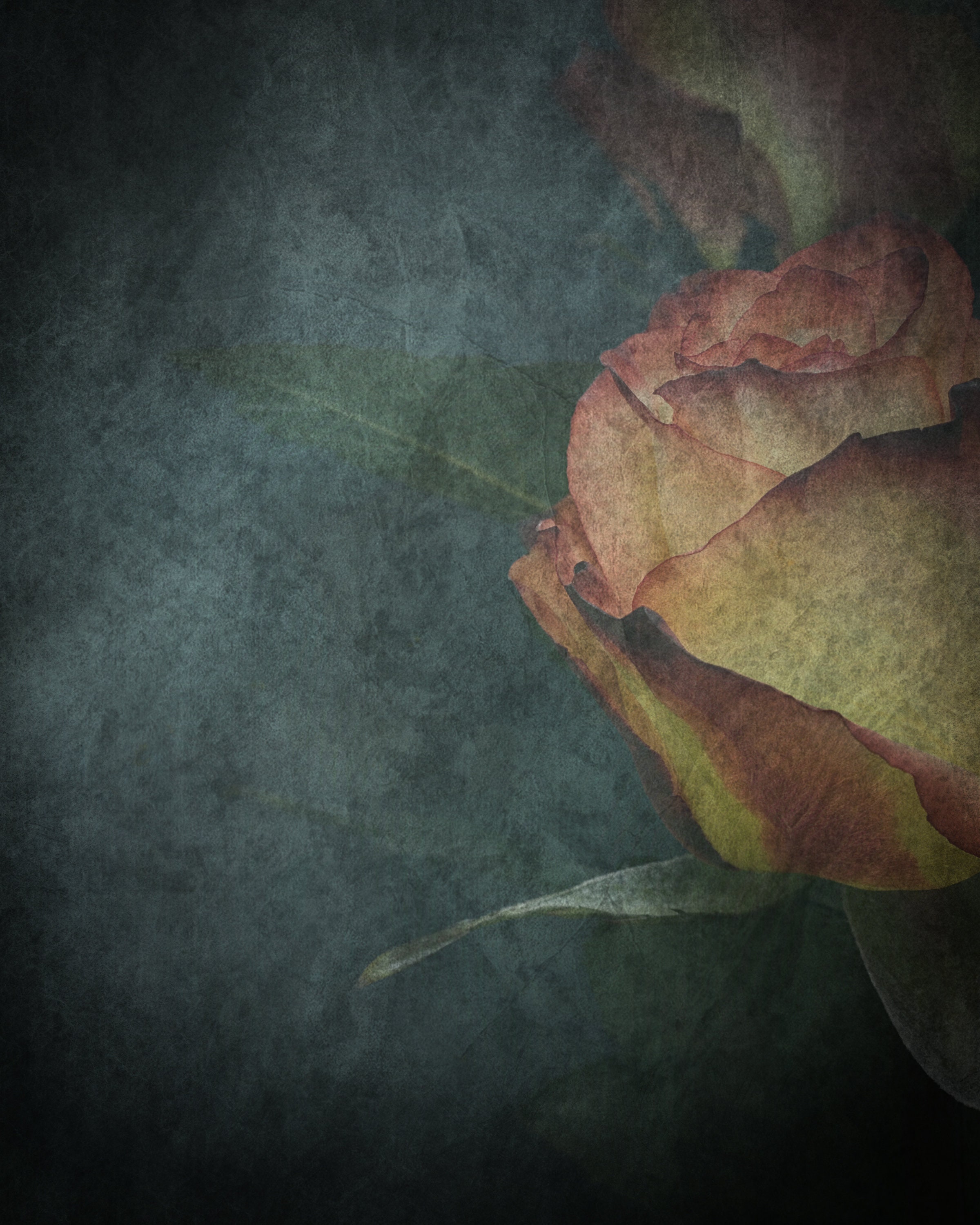 The Aromatic Collection Floral Digital Backgrounds A Mixture | Etsy