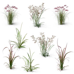 Realistic Butterfly Photoshop Overlays, the Mariposa Collection, High ...