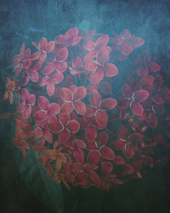 Red Floral Digital Background Photography Backdrop From | Etsy