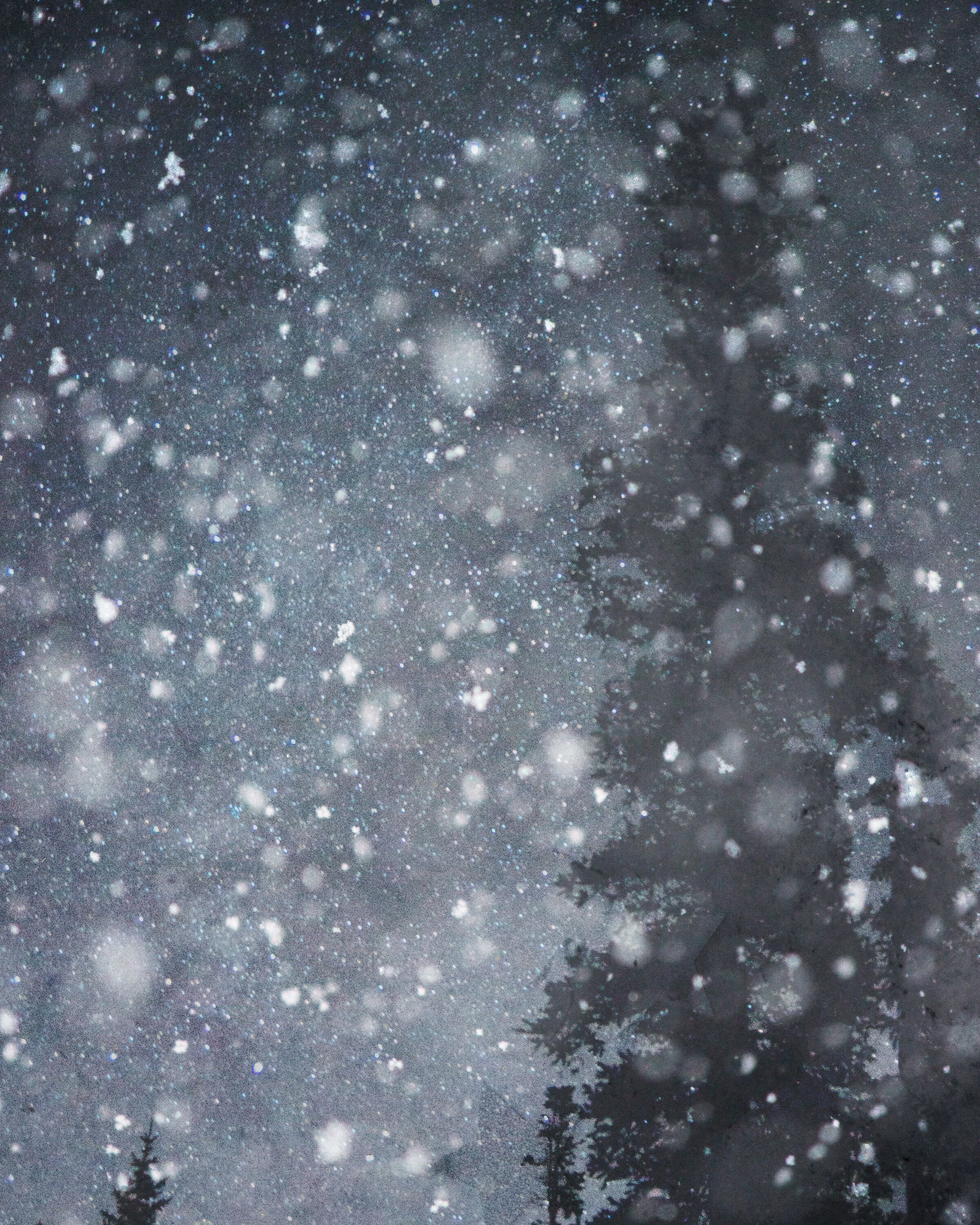 Holiday Flurry Collection TWO Winter Digital Backgrounds - Etsy UK