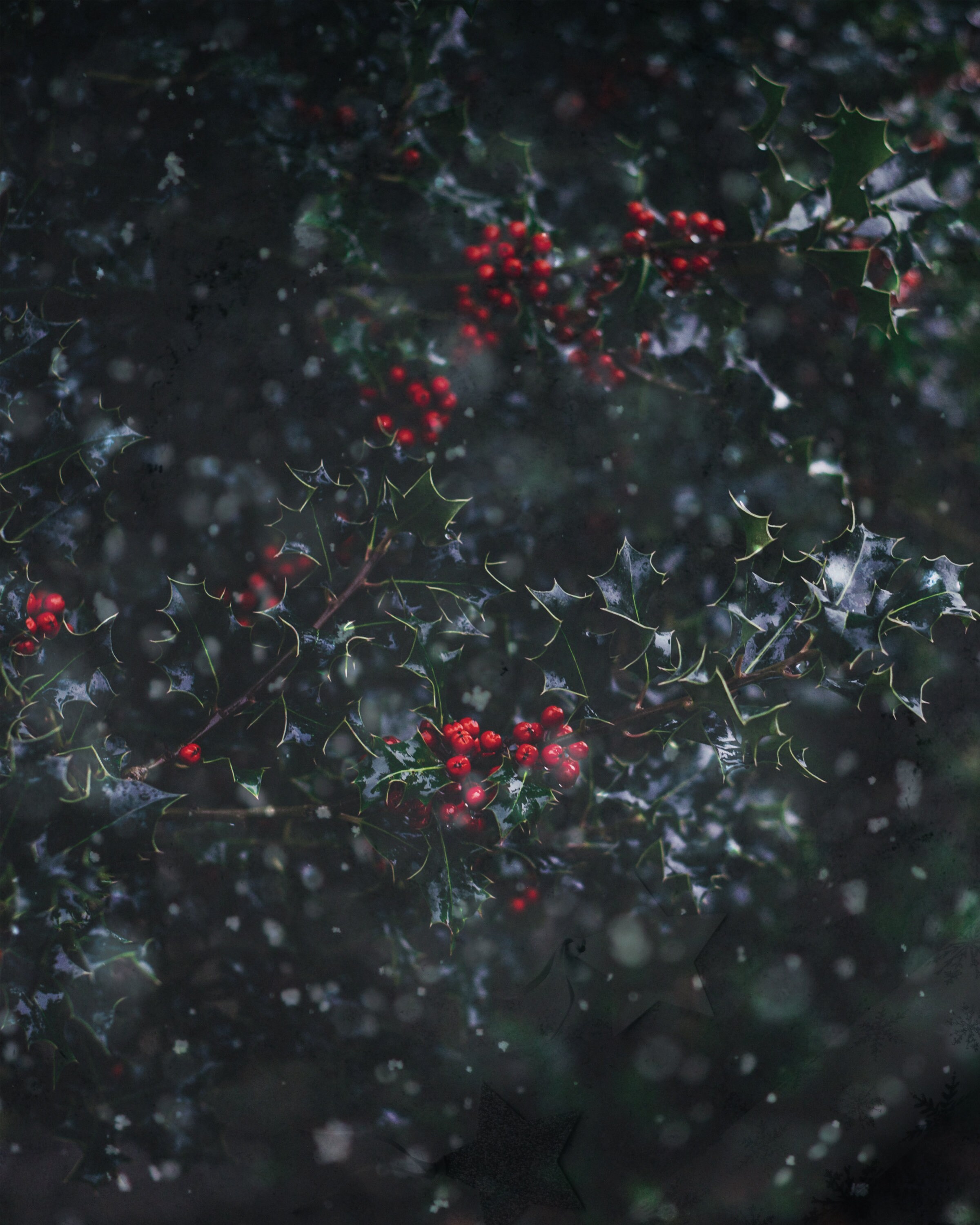 Holiday Flurry Collection TWO Winter Digital Backgrounds - Etsy UK