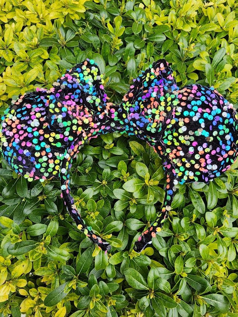 Neon Rainbow Ears - Etsy