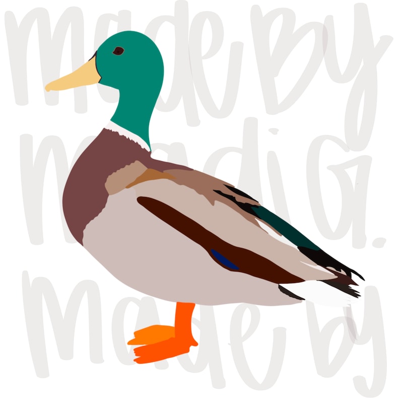 Mallard Duck PNG. Digital Download Only - Etsy