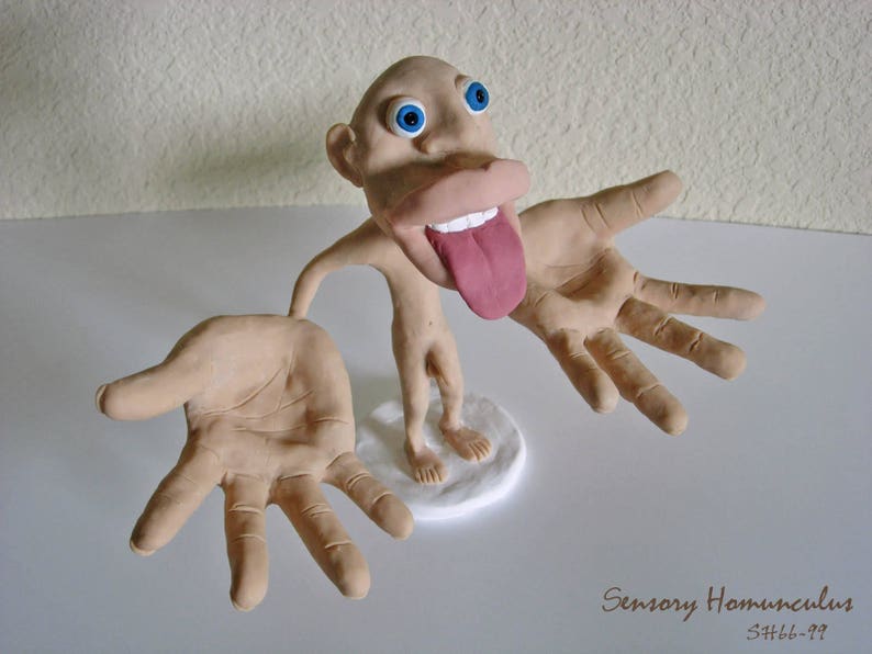 Sensory Homunculus model 6 Tall made to order | Etsy