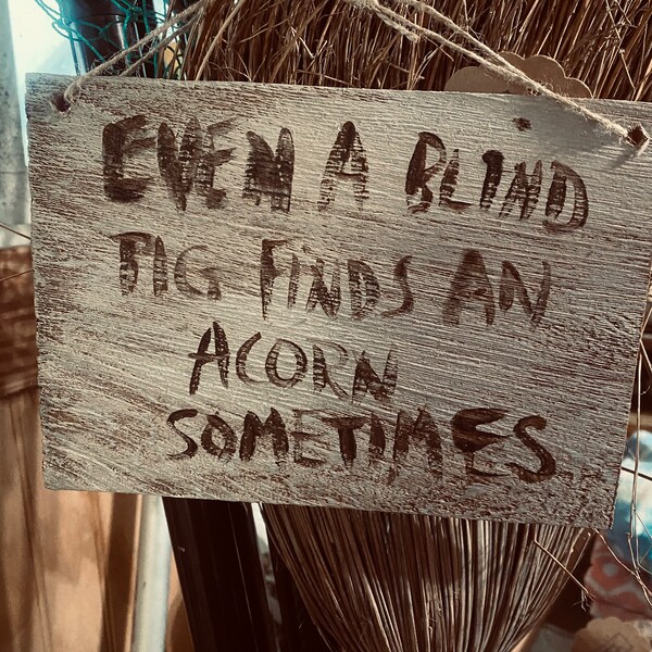 Blind Pig and the Acorn - Etsy