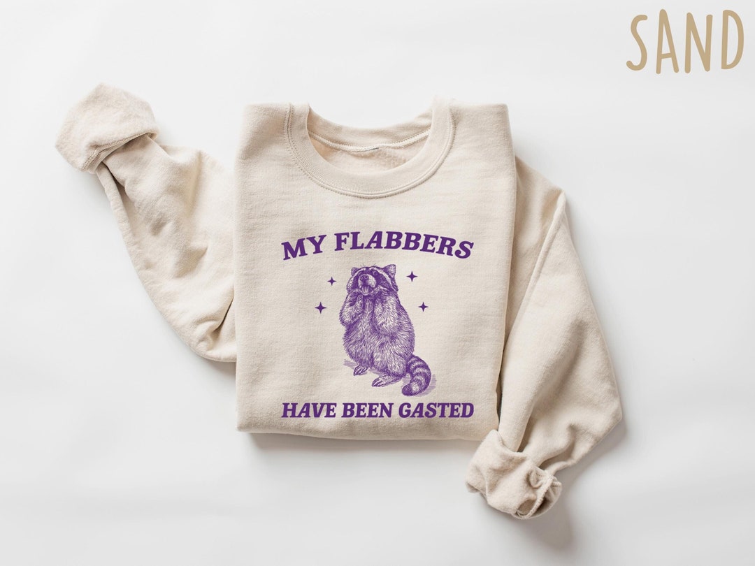 All of My Flabbers Are Gasted Sweatshirt, Raccoon Meme Tee, Retro ...