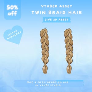 Vtuber Asset | Rigged Twin Braid Hair, Alternate Hairstyle, Animated ...