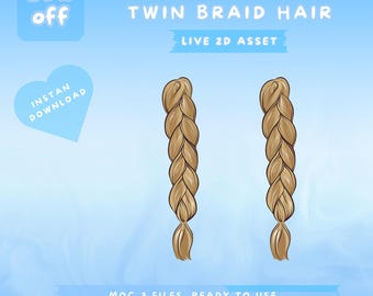 Rigged Ombre Braid Hair Asset Set for Vtube Studio - 6 Color Variations ...
