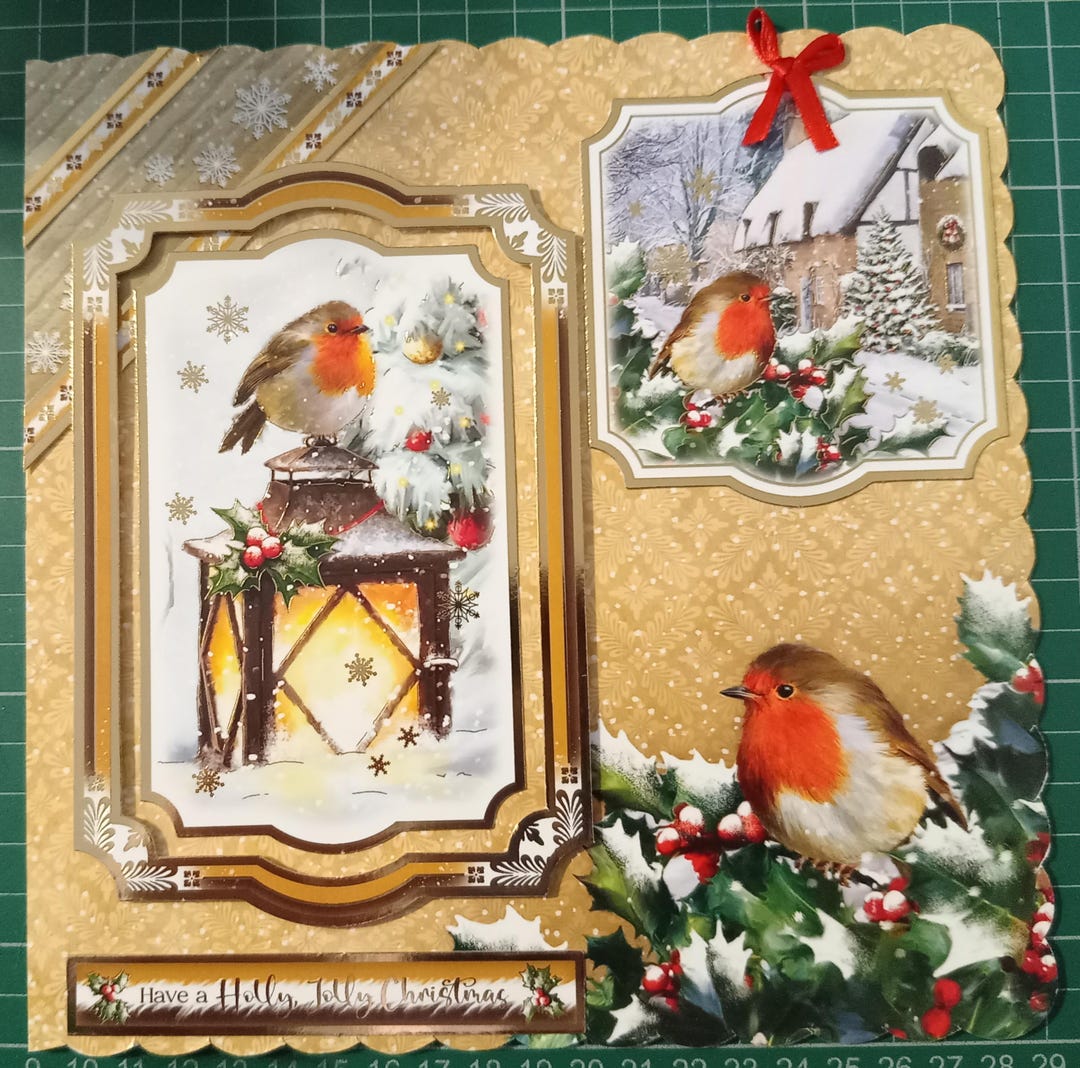 Rocking Robin Christmas Cards - Etsy