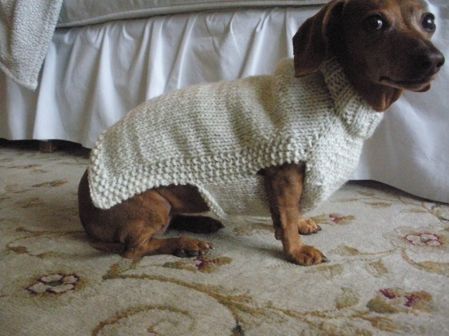Small Dog Sweater PDF PATTERN Mini Dachshund Doxie Sweater - Etsy