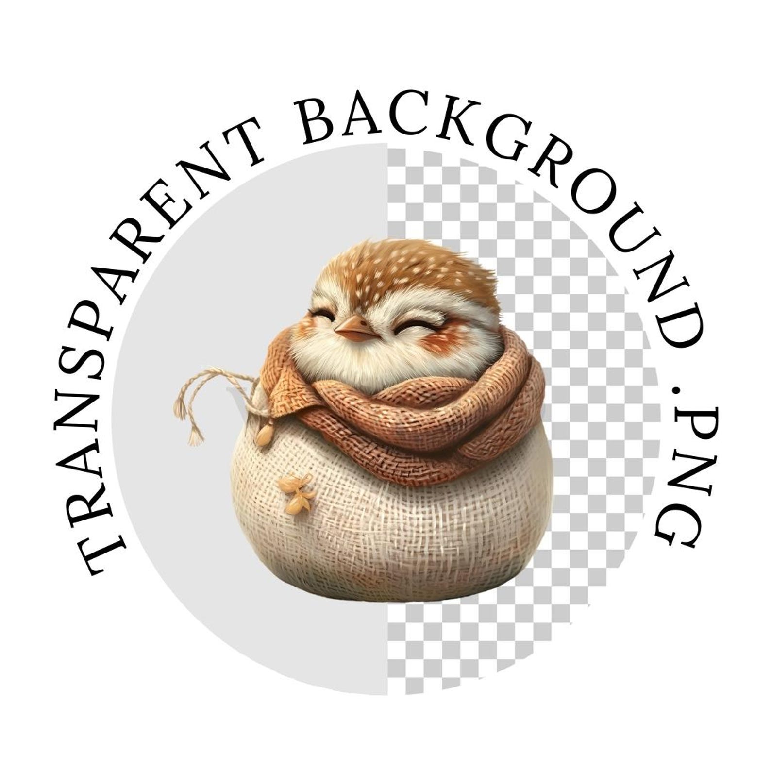 Cozy and Lazy Bird Clipart, Lazy Bird Png, Bird Lover Png, Sleeping ...