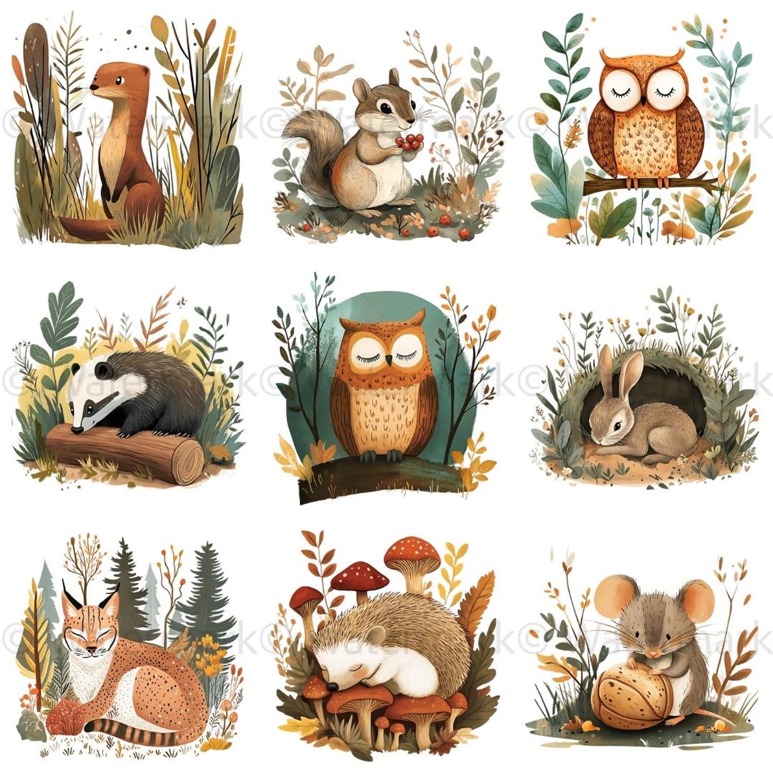 Woodland Creatures Clipart: Cozy Forest Animals PNG (digital Download ...