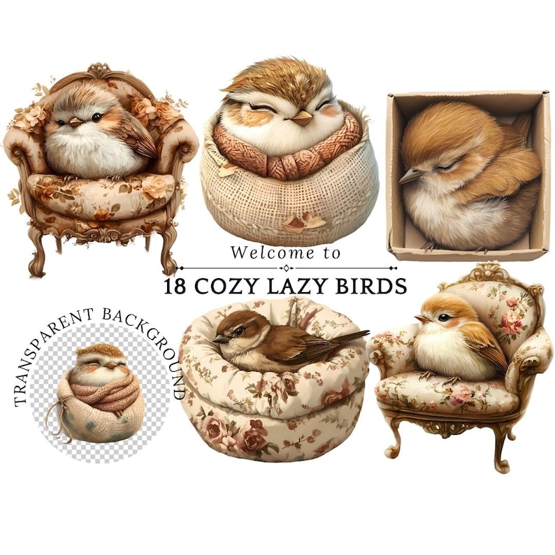 Cozy and Lazy Bird Clipart, Lazy Bird Png, Bird Lover Png, Sleeping ...