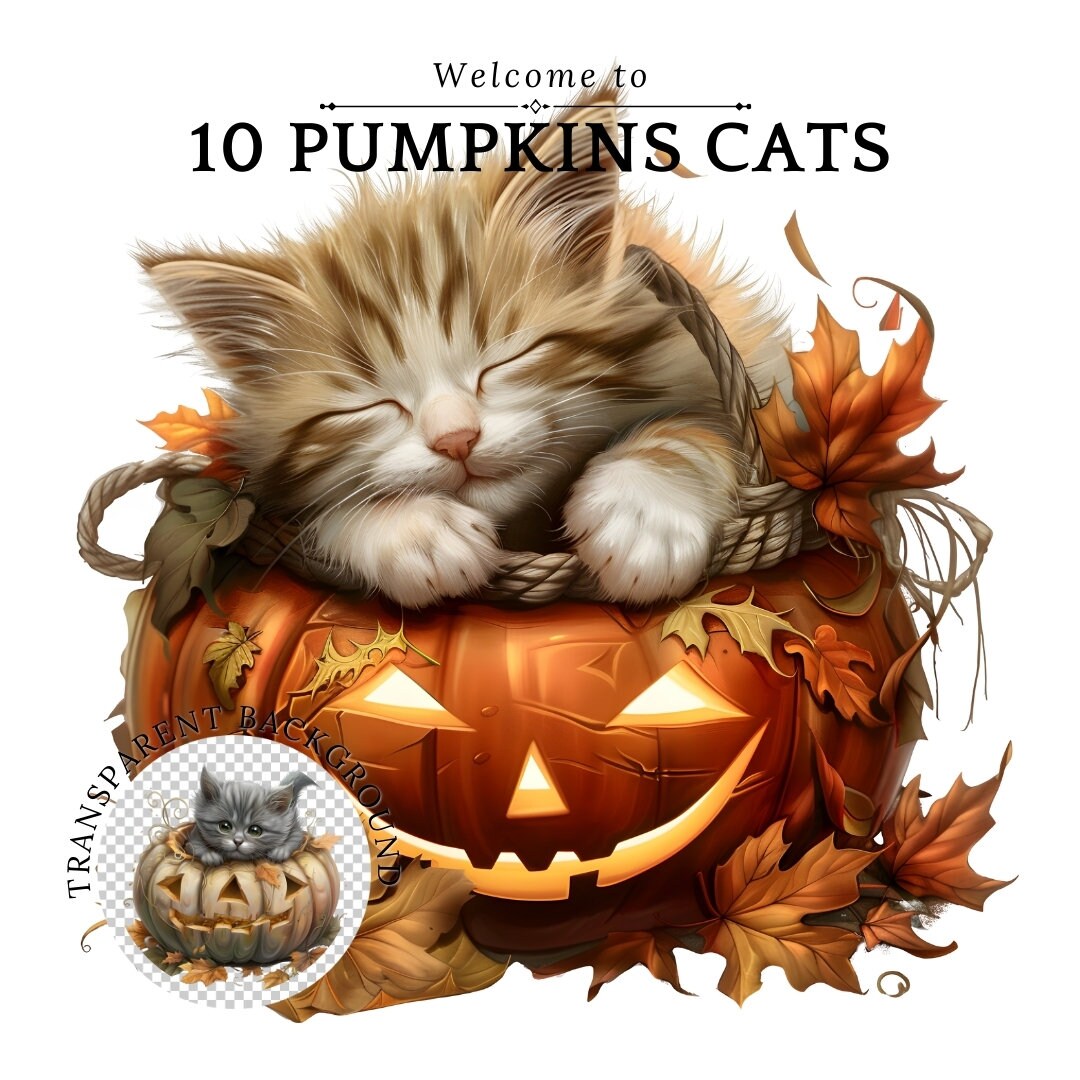 Cute Cat Inside a Pumpkin PNG Halloween Clipart, Halloween Cat, Pumpkin ...