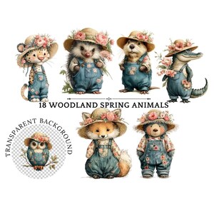 Watercolor Woodland Animals Clipart: Pink Nursery Decor, Animals in ...