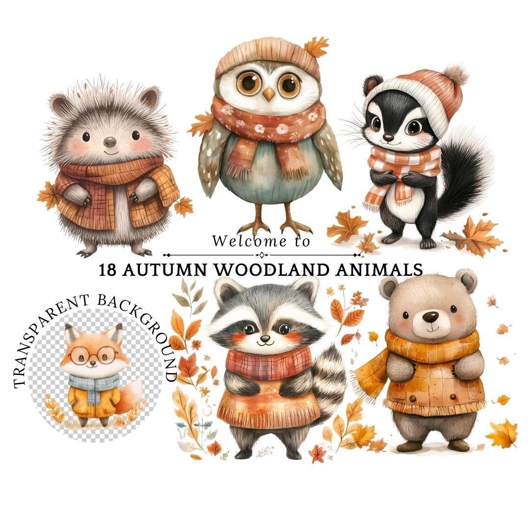Cute Woodland Animals clipart, Forest Animals Clipart, Minimalist ...