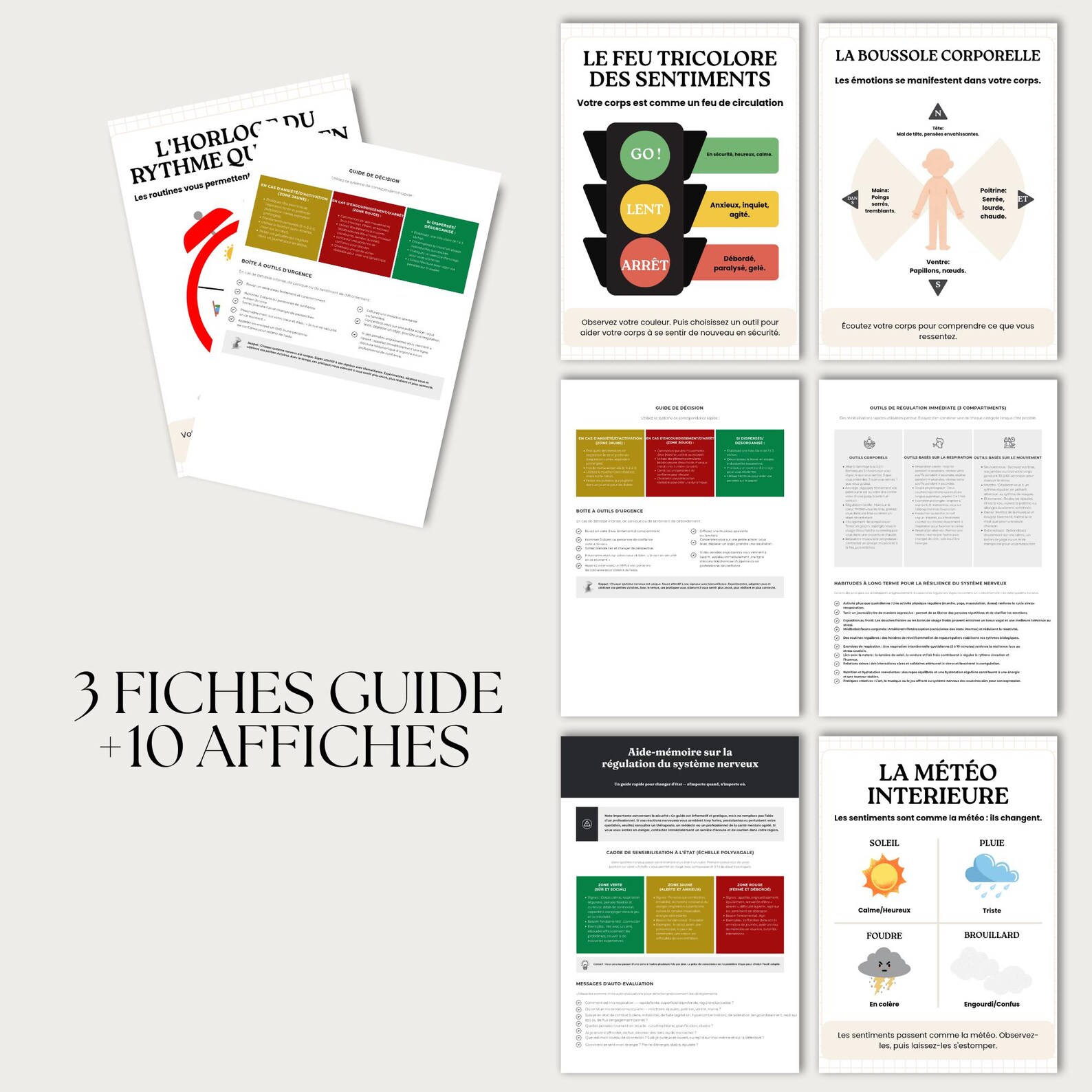 Quick Reference Guide on Nervous System Regulation / Coaching Sheets ...