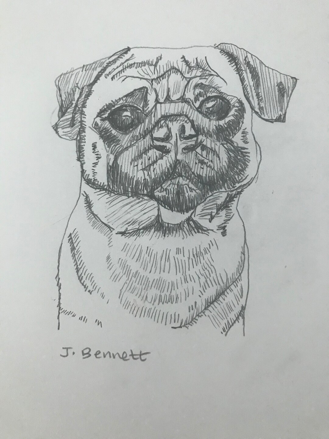 A4 Pug Dog Pencil Original Line Drawing - Etsy