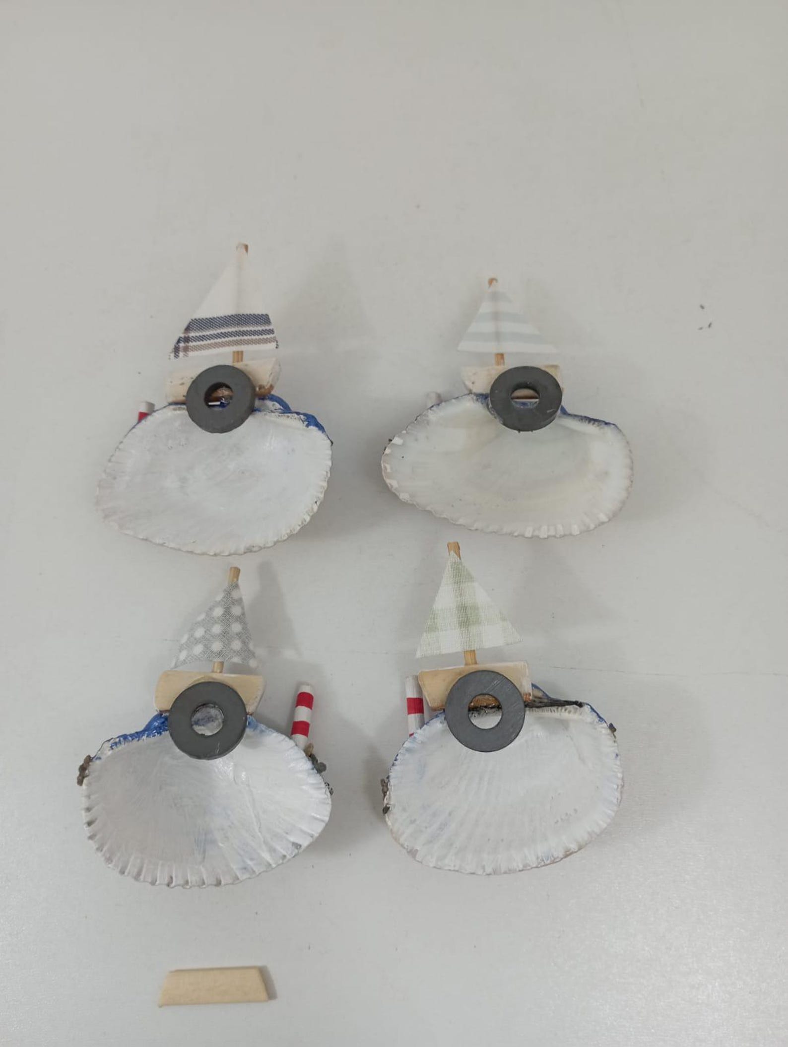 Naturel Seashell Magnets - Etsy