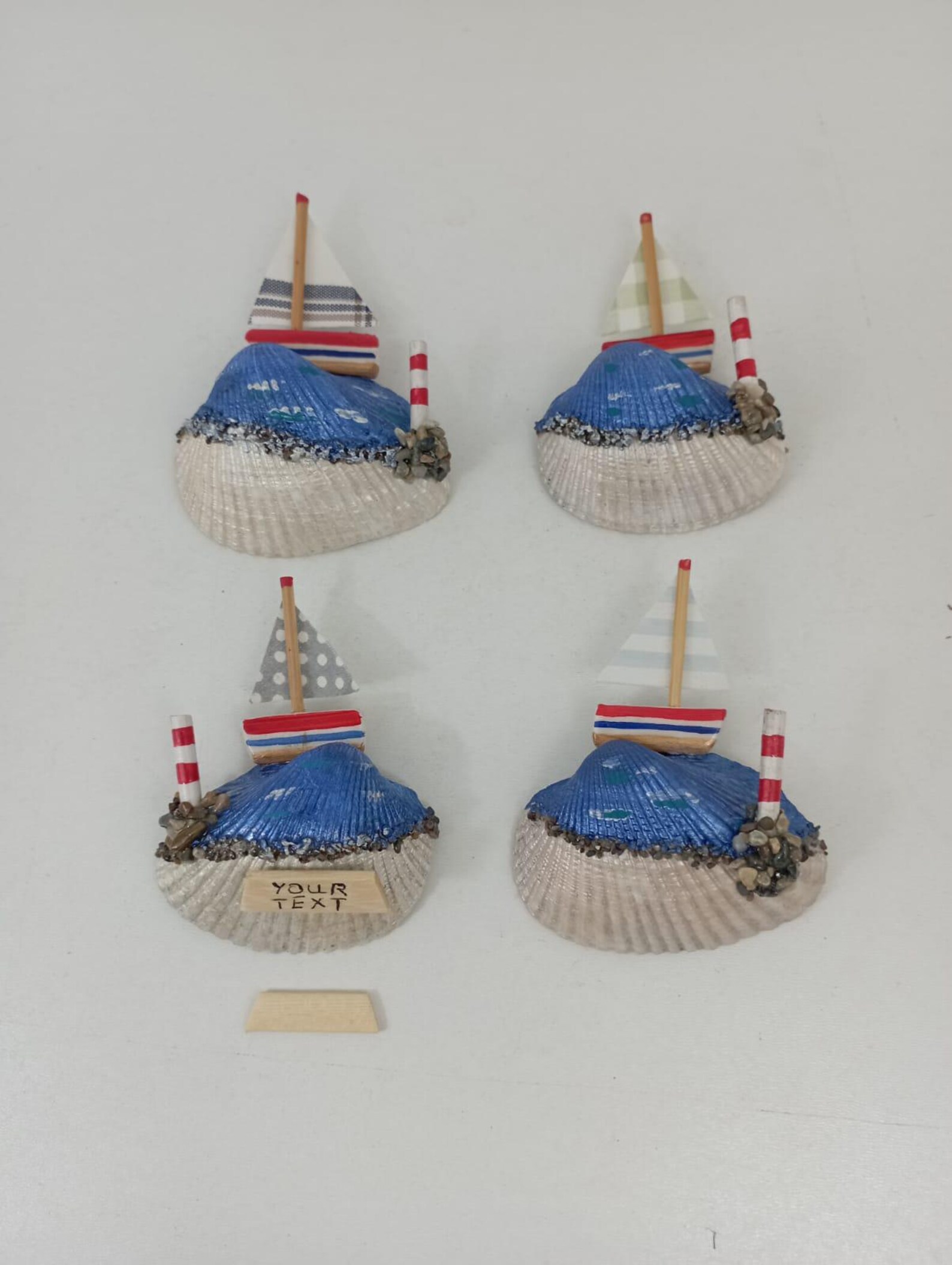 Naturel Seashell Magnets - Etsy