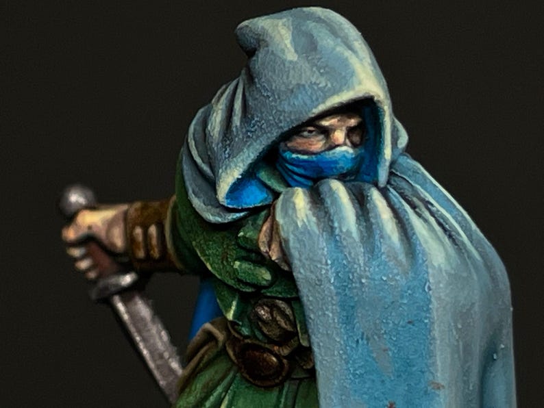 Rogue Hero Character Dnd Miniature | Bandit Assassin Painted D&D Mini ...