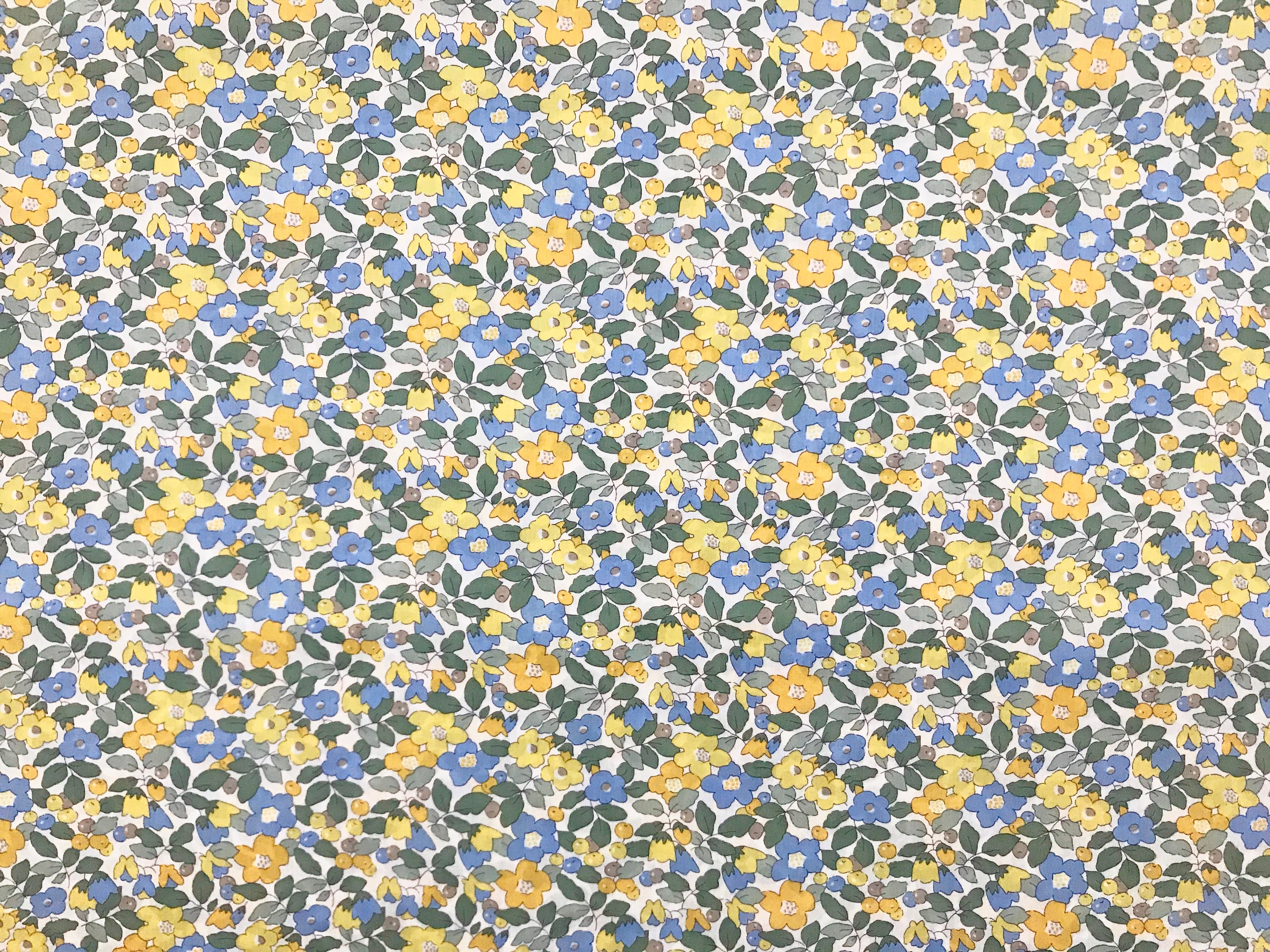 Liberty Tana Lawn "betsy Berry" Yellow/blue 0.50 Metre - Etsy