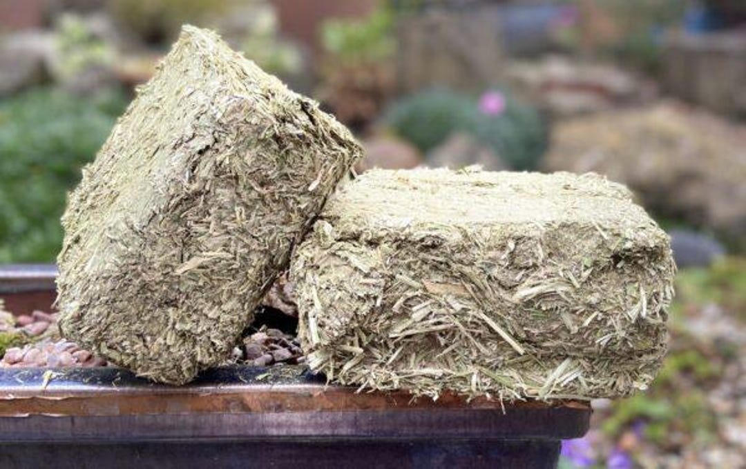 1KG Alfalfa Hay Block - Etsy
