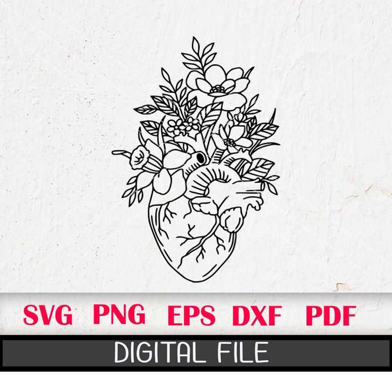 Heart Svg File, Anatomical Heart Svg, Human Heart Svg, Anatomy Svg ...