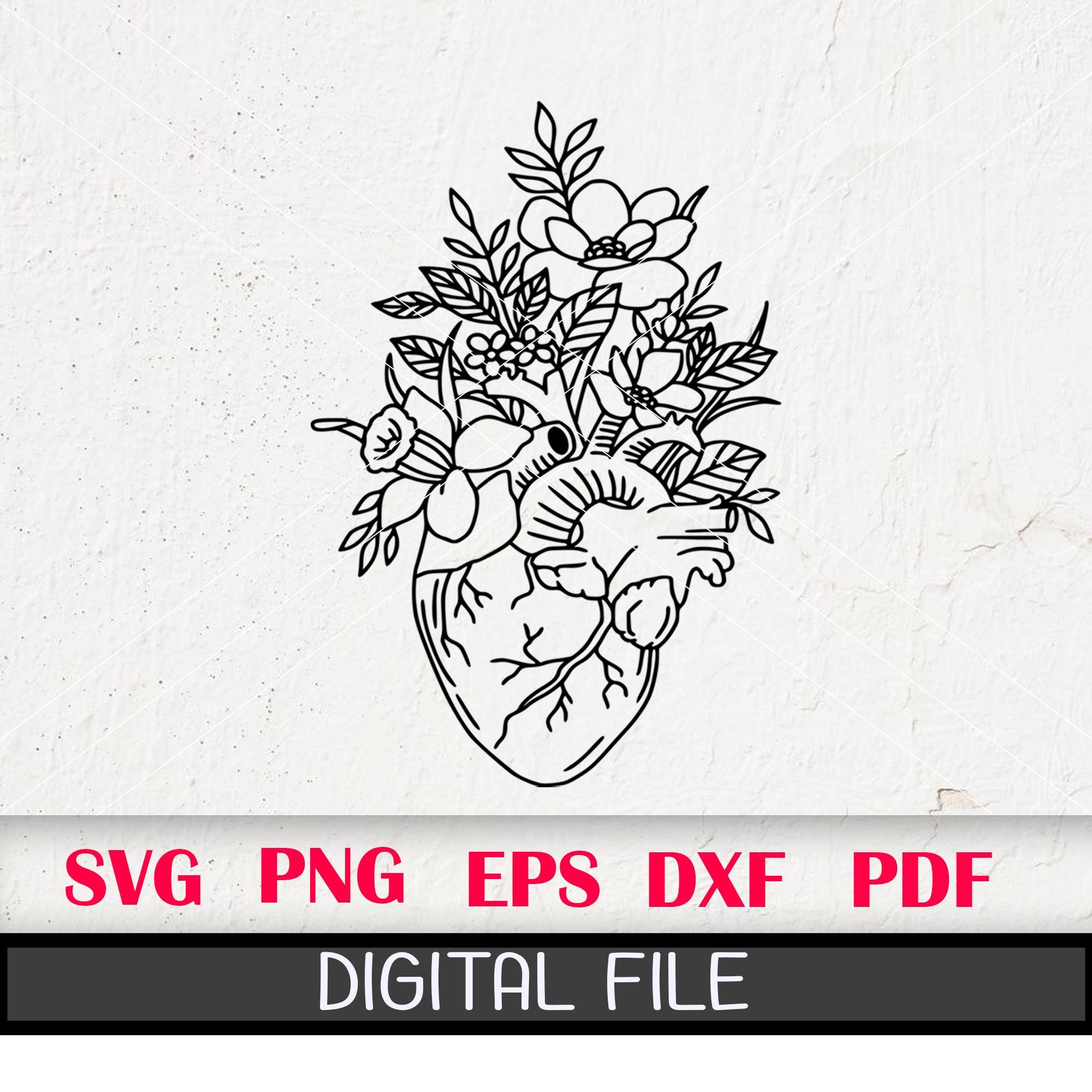 Heart Svg File, Anatomical Heart Svg, Human Heart Svg, Anatomy Svg ...