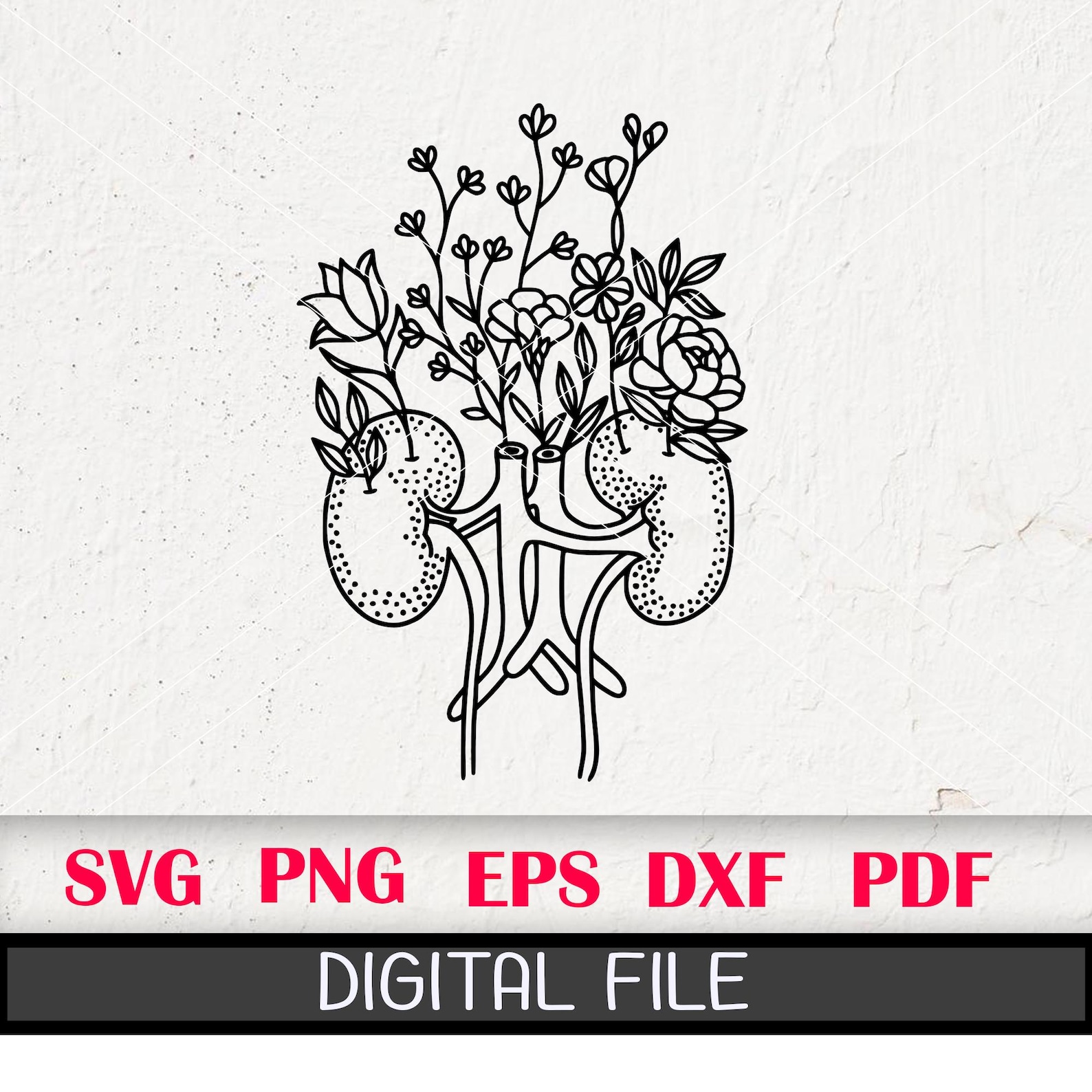 Kidneys Svg, Floral Kidneys Svg, Anatomical Kidneys Svg, Human Kidneys ...