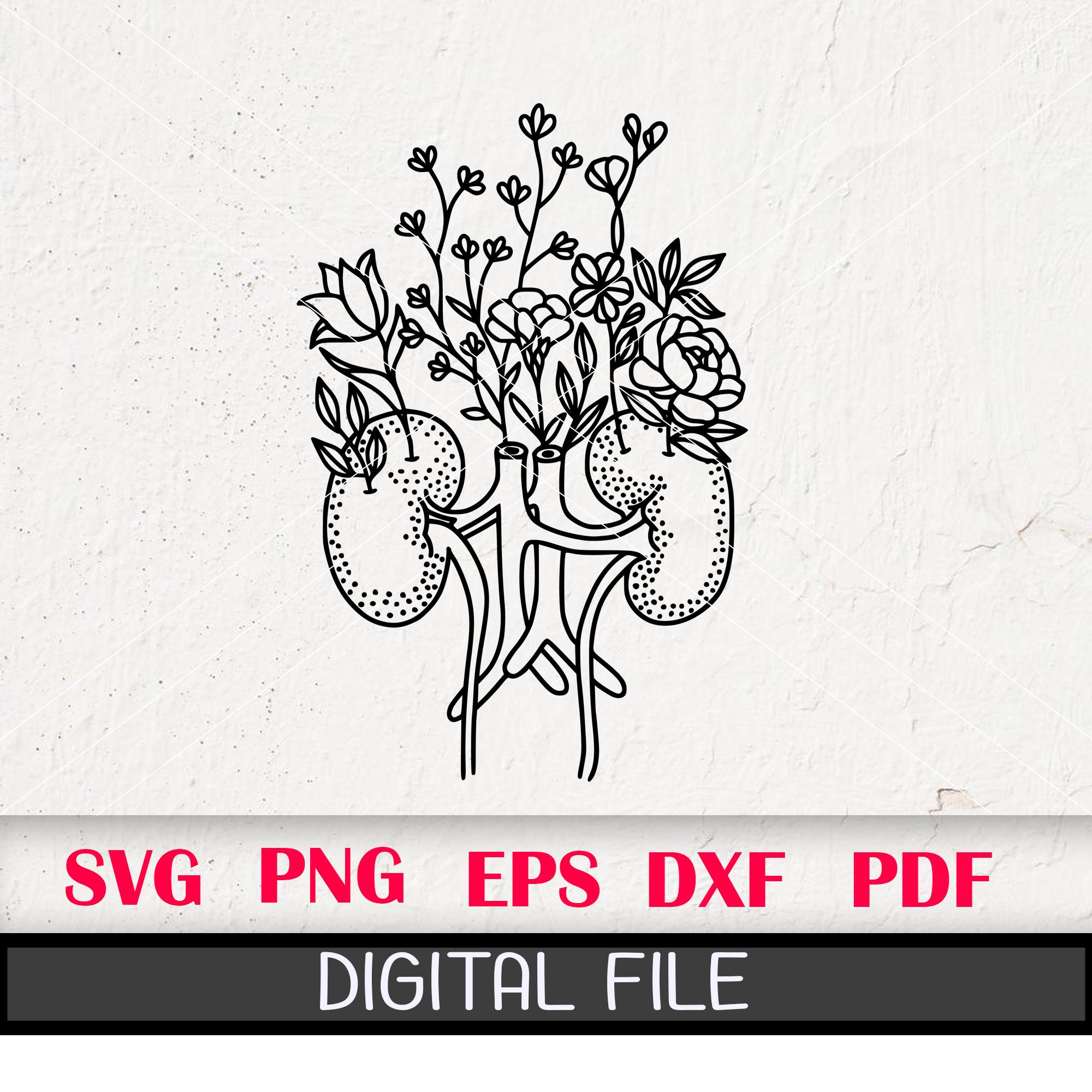 Kidneys Svg, Floral Kidneys Svg, Anatomical Kidneys Svg, Human Kidneys ...